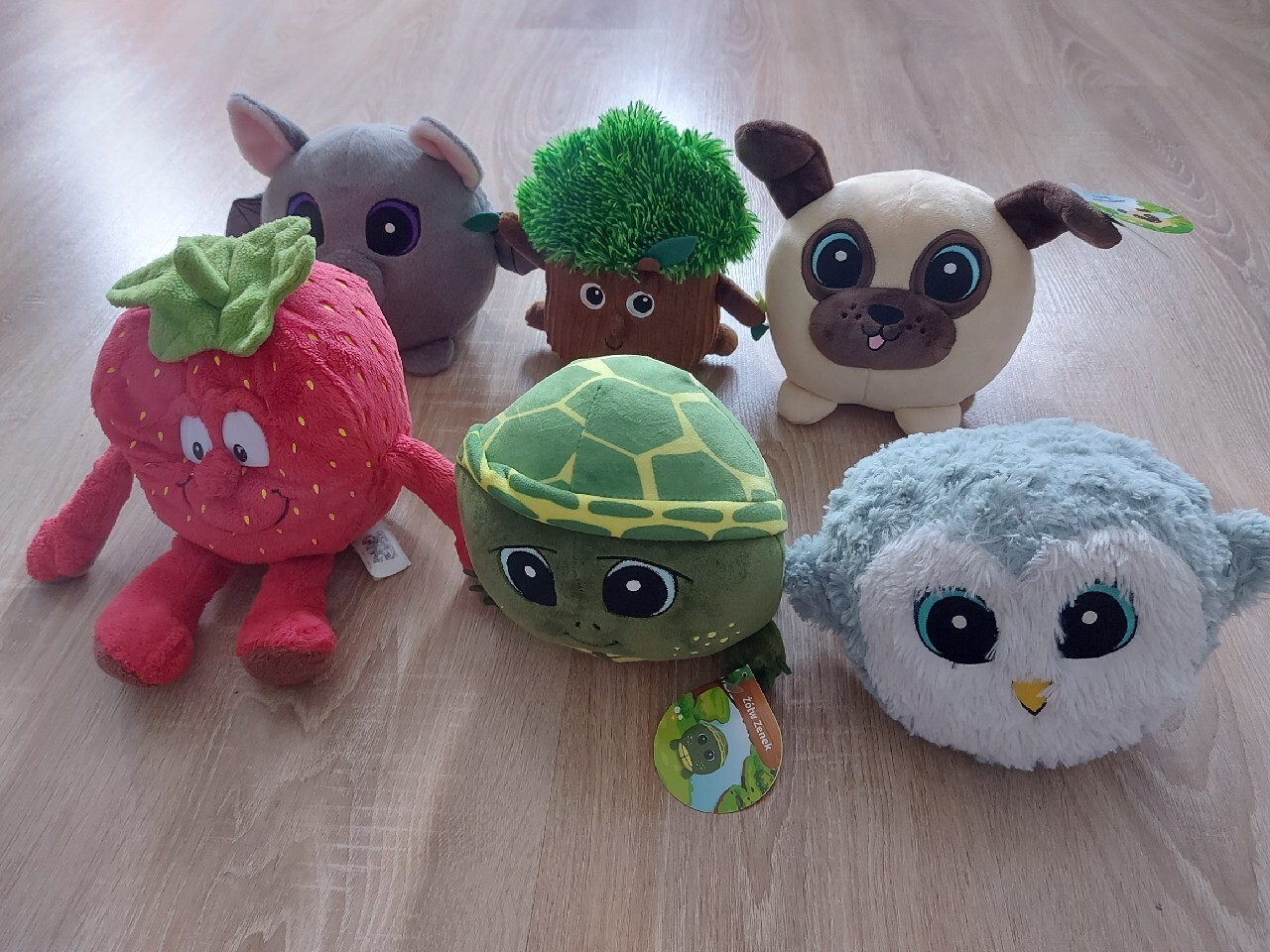 Misie pluszaki maskotki gang biedronki | Bydgoszcz | Kup teraz na ...