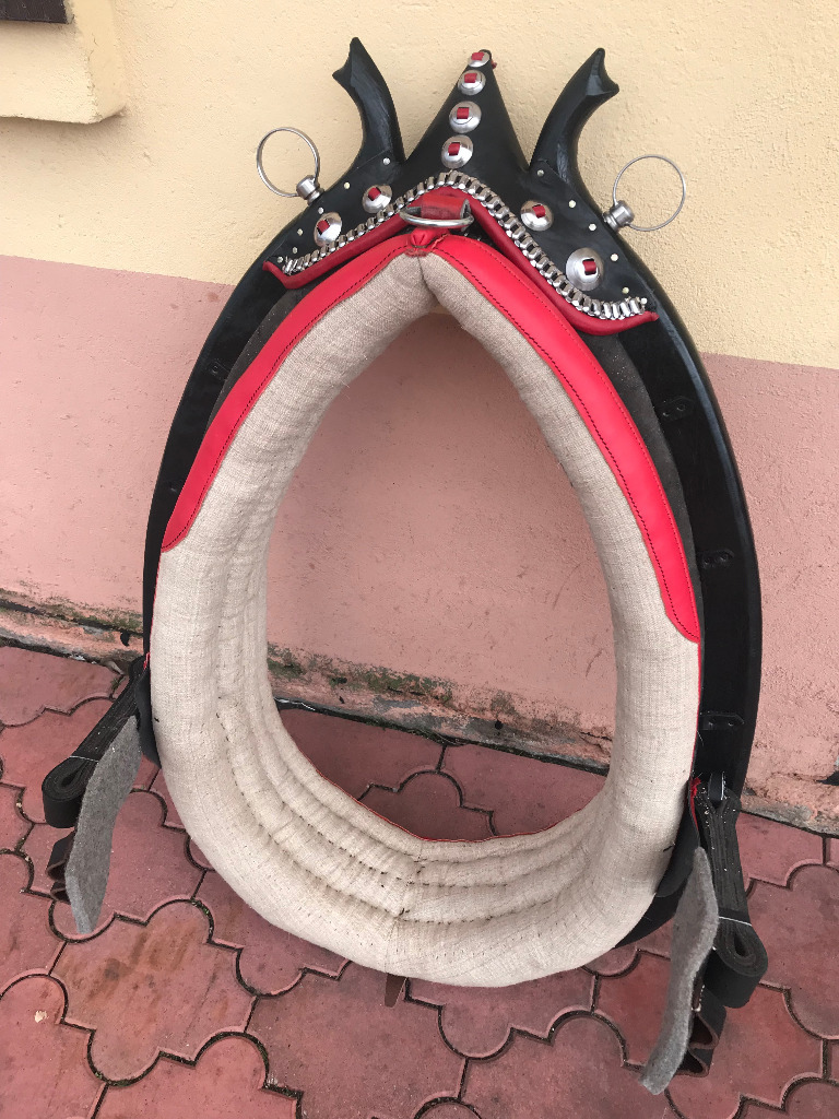 DUŻE SOLIDNE HOMONTO NA KONIA | Legęzów | Ogłoszenie na Allegro Lokalnie