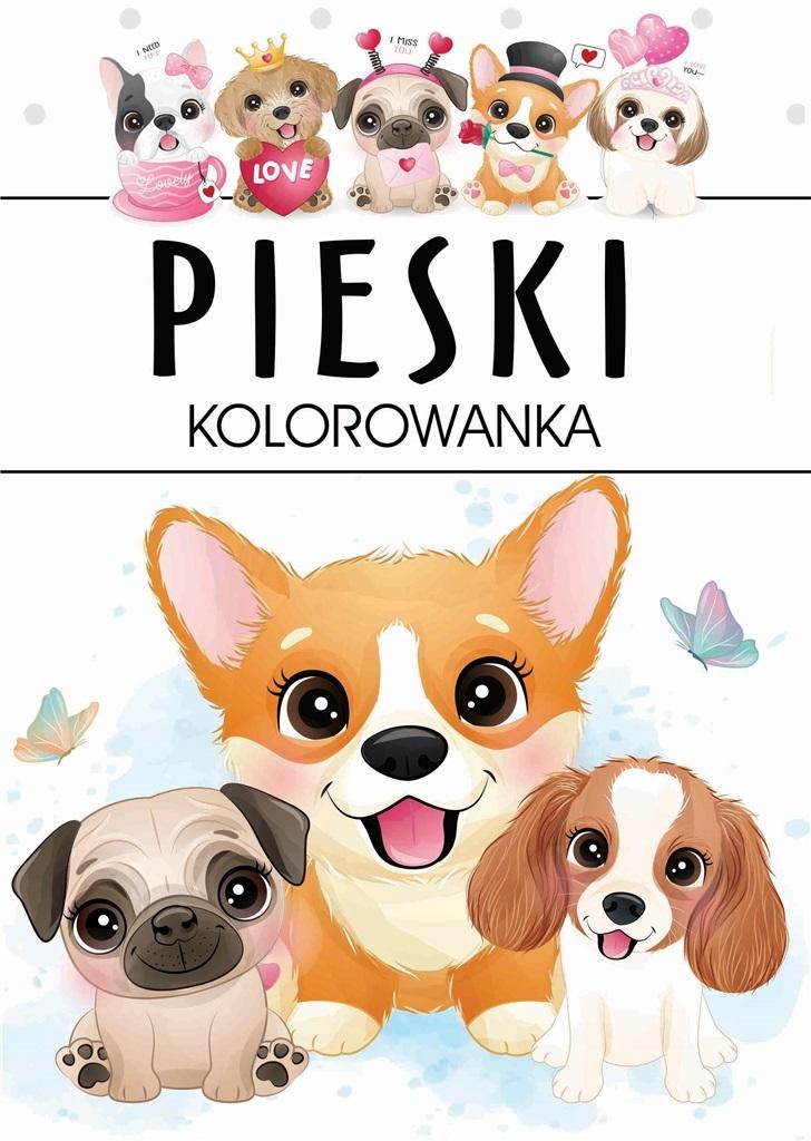 PIESKI KOLOROWANKA MALOWANKA Z NAKLEJKAMI (13420691058) | Książka Allegro