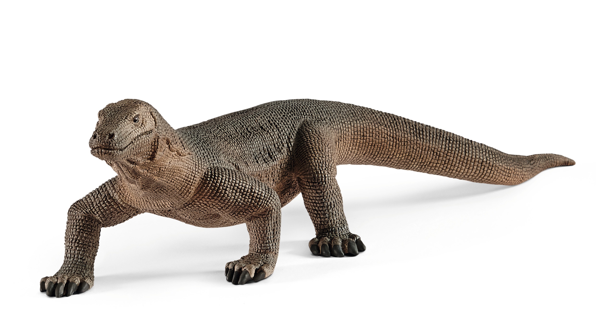 Waran z Komodo - Niska cena na Allegro.pl