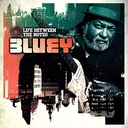 Life Between The Notes Bluey CD - porównaj ceny - Allegro.pl
