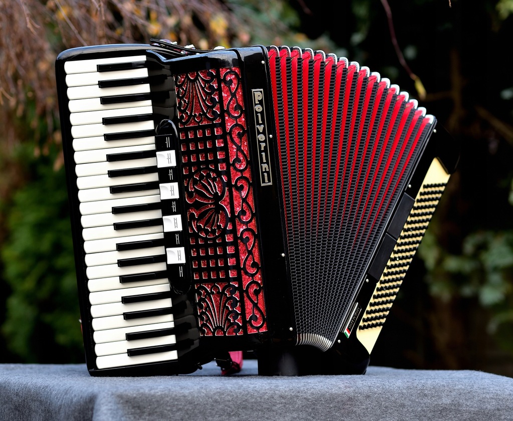 Akordeon Polverini Musette 120 basów 4 chóry - 12935861847 - oficjalne archiwum Allegro
