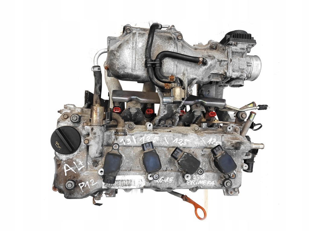 SILNIK NISSAN PRIMERA P12 1.8 16V QG18 - 11613744518 - oficjalne ...