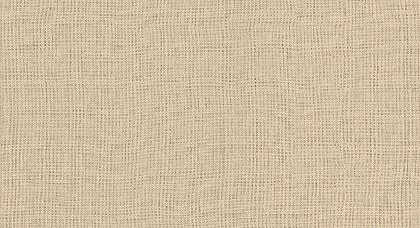 Egger płyta Płótno beżowe F416 ST10 2800x2070x18mm - 12961359888 ...