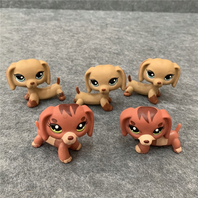 LPS krótki krótkowłosy kot kotek pies jamnik Colli - 13429550964 ...