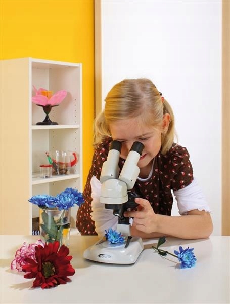 Купить Микроскоп My First Lab i-explore Scope SMD-04: отзывы, фото и ...