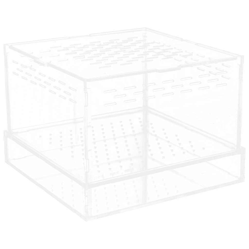 Sea Monkey Tank Springtails Container Insect - 13531829329 - oficjalne ...