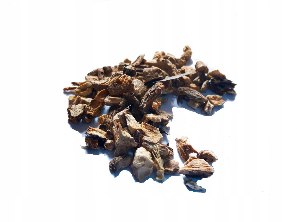 Łopian korzeń łopianu 100g Zioła z Kurpi - 9379119175 - oficjalne ...