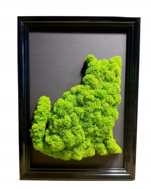 Mech chrobotek, Obraz z mchu chrobotka, kot A4 - 10913192059 ...