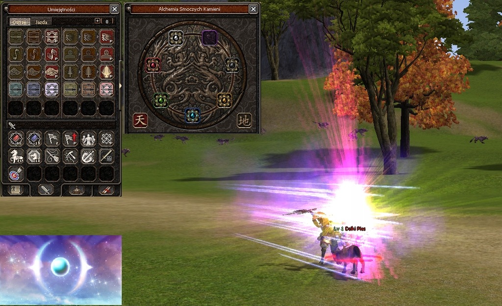 Metin2 ninja dagger 115 lvl serwer Polska - 15002658383 - oficjalne ...