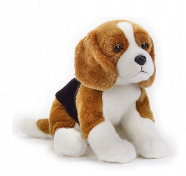 Pluszak Pies Beagle National Geographic - 12866397806 - oficjalne ...