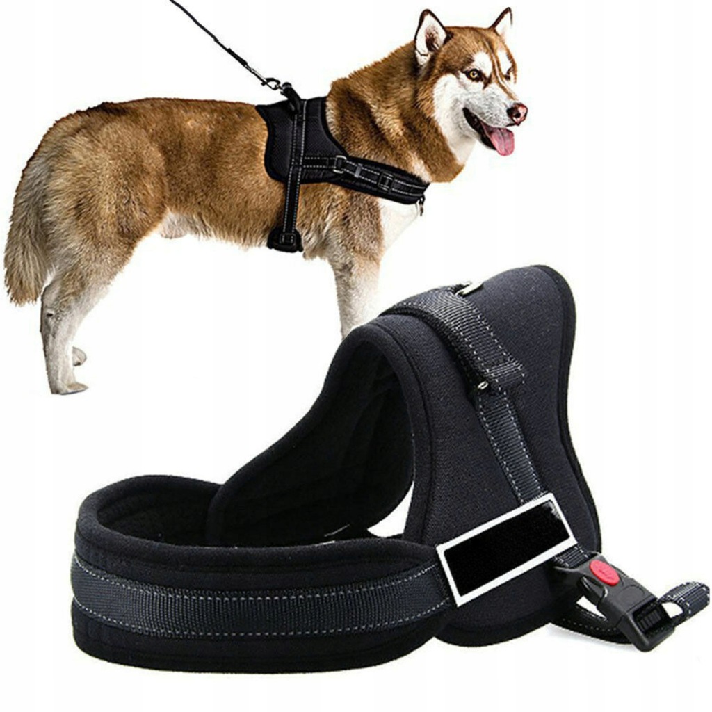 SZELKI DLA DUŻEGO PSA z rączką TYPU GUARD bezuciskowe UPRZĄŻ L 60-70cm - 15231215813 - oficjalne ...