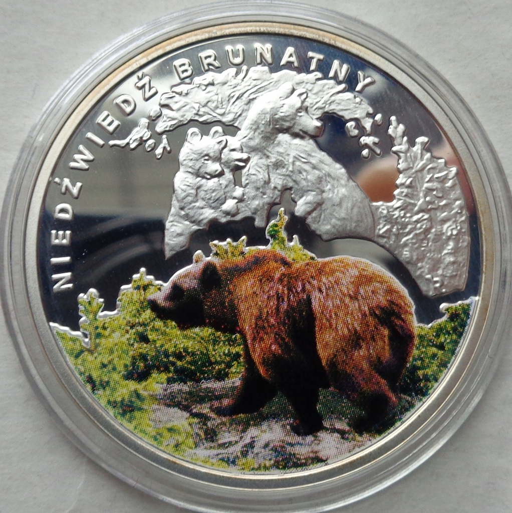 SYMBOLE PRZYRODY - ZWIERZĘTA - NIEDŹWIEDŹ BRUNATNY - 12270813204 - oficjalne archiwum Allegro