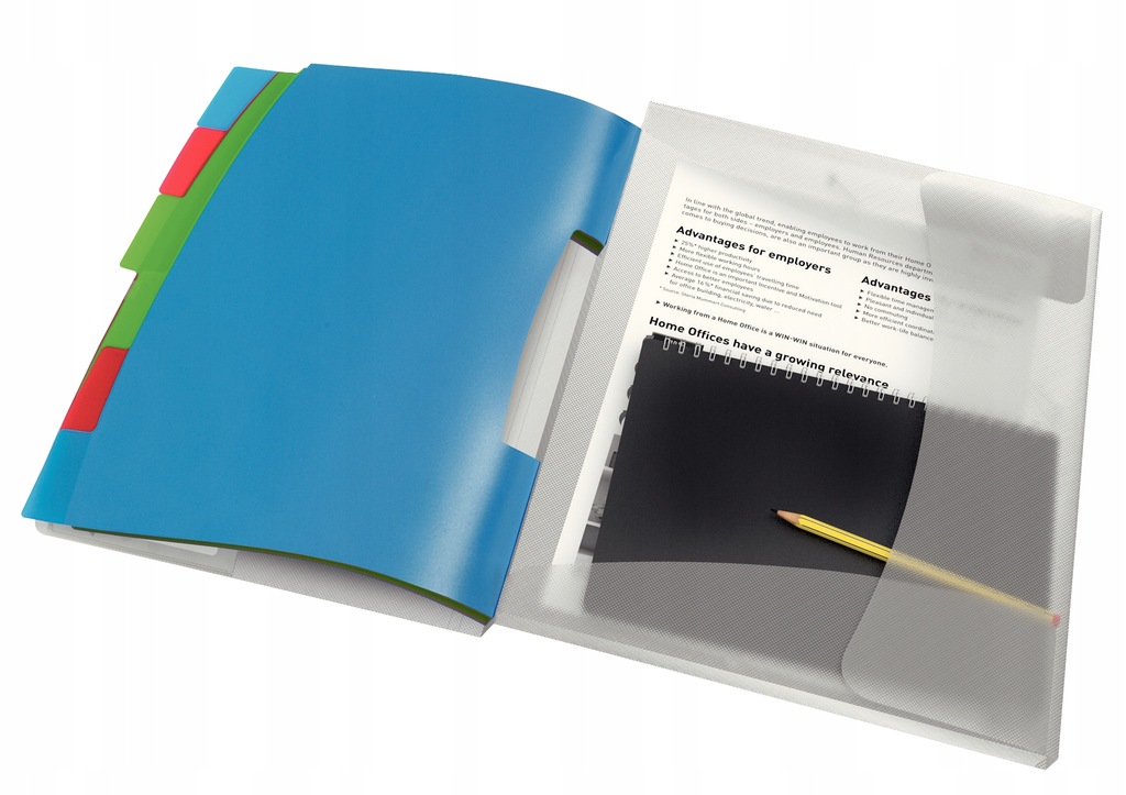 Купить Папка для документов Esselte VIVIDA с 6 разделителями.: отзывы ...