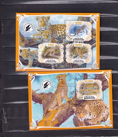 Fauna. 2019 . Gabon. Kasow - 12612389677 - oficjalne archiwum Allegro