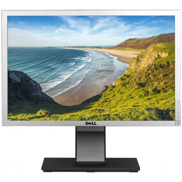 Monitor DELL P1911b Panorama 1440x900 Srebrny - 13015392950 - oficjalne archiwum Allegro