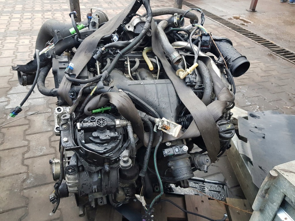 Silnik Peugeot 2,0 HDI 136 KM RHR Delphi - 8566116757 - oficjalne archiwum Allegro