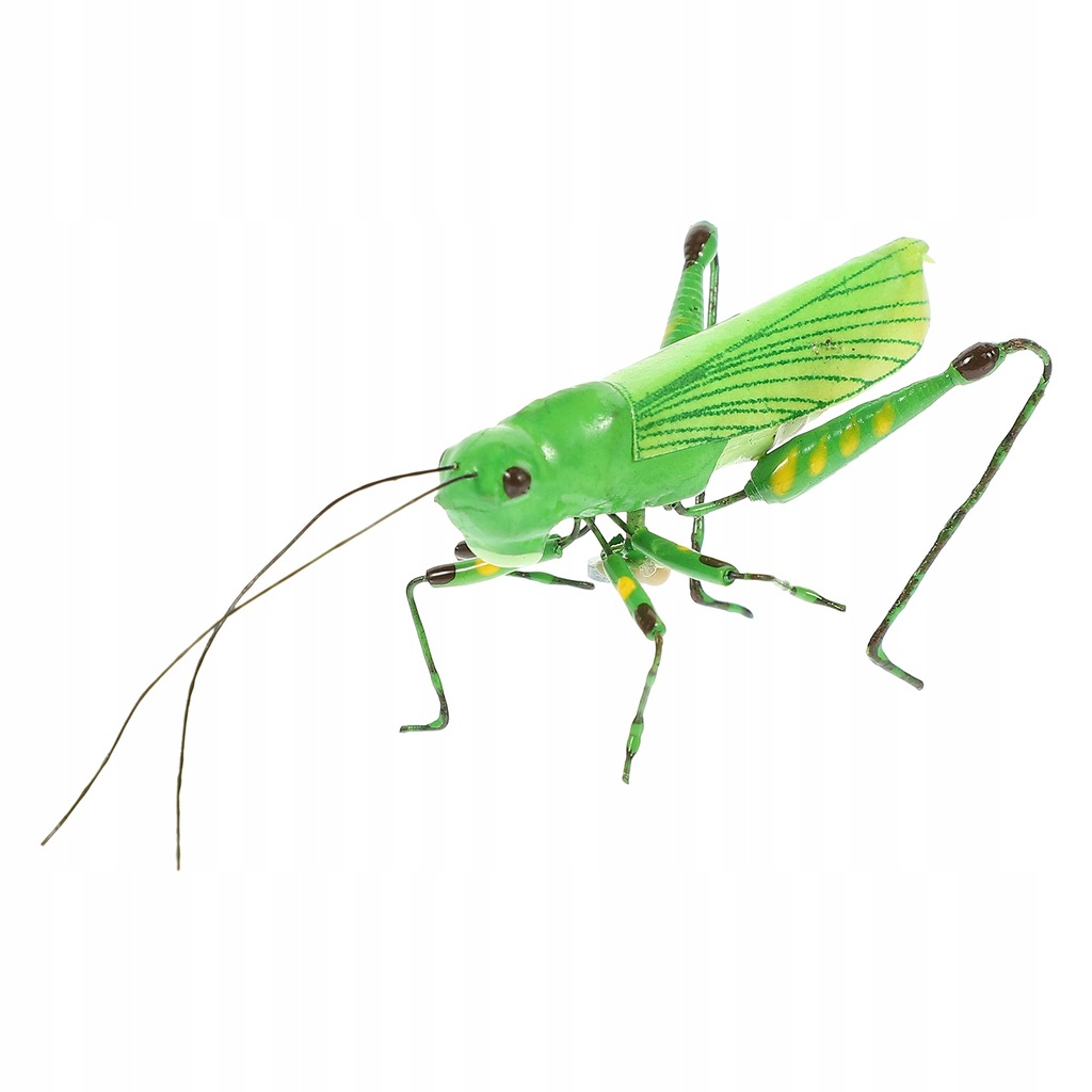 Błędy rysunek Owady figurki Symulowane owad Model - 12681226336 ...