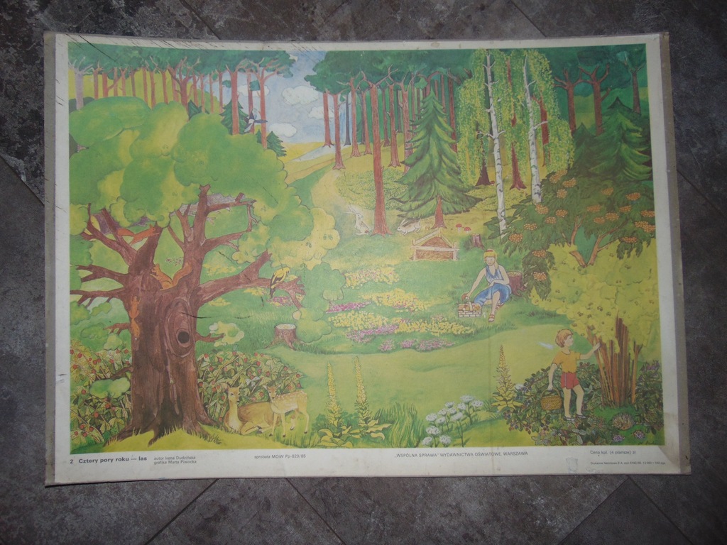 Tablica szkolna M.Piwocka CZTERY PORY ROKU-LAS - 7653622311 - oficjalne ...