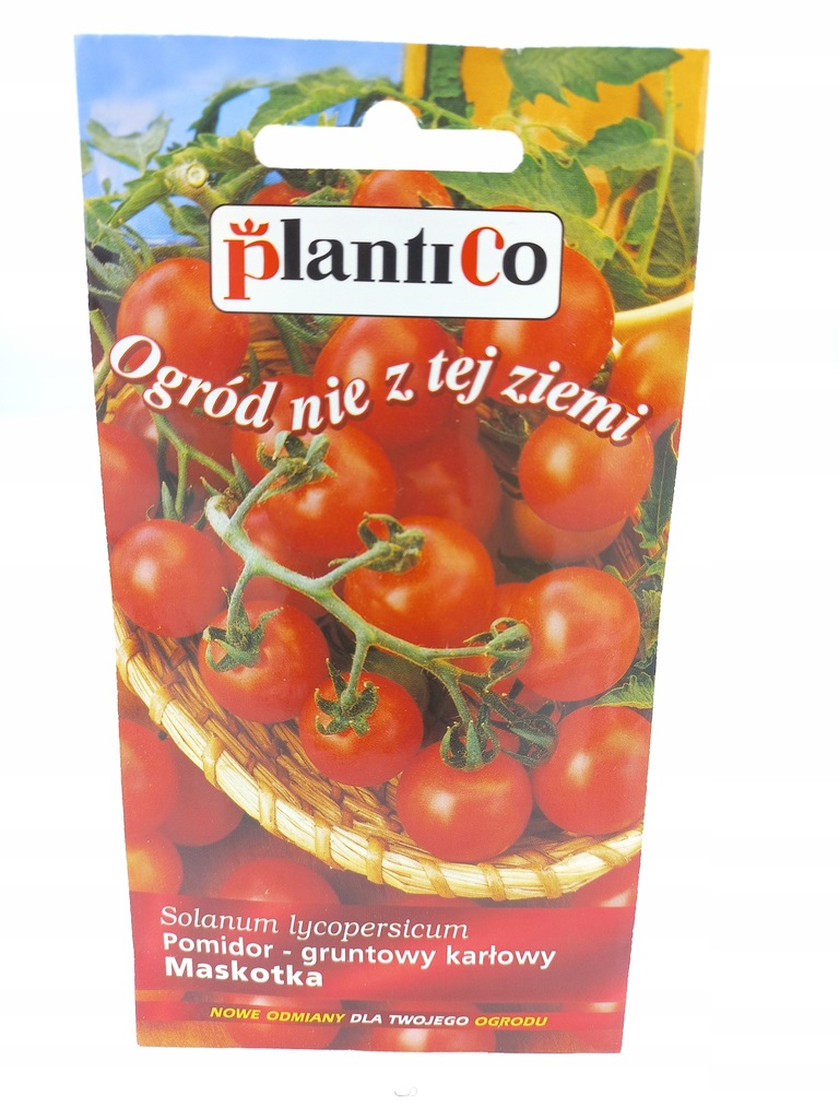 Pomidory Gruntowy MASKOTKA nasiona 0,5 g typ chery - 12831127512 - oficjalne archiwum Allegro