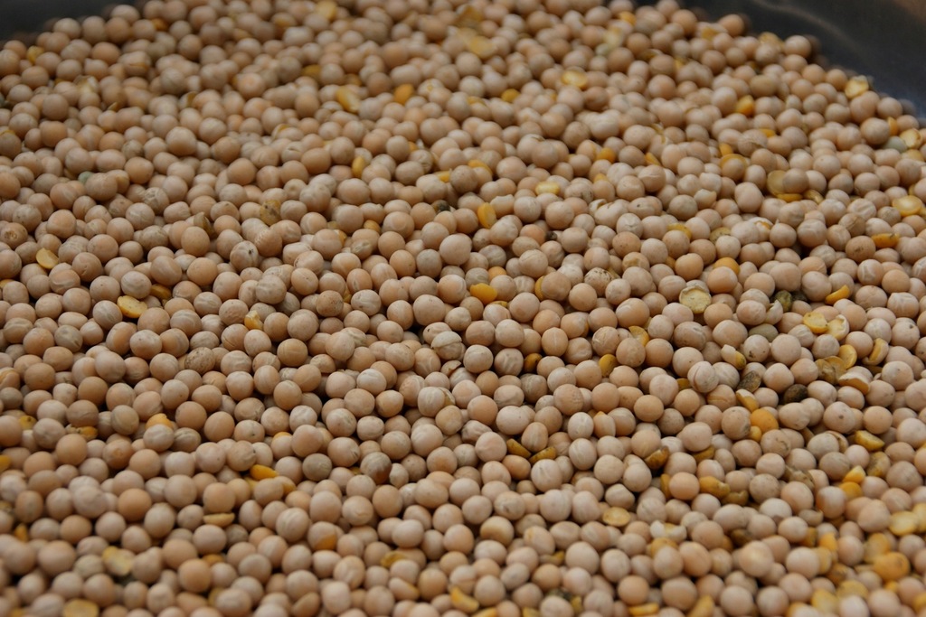 Groch paszowy 1 kg na poplon, pasza - 12566737317 - oficjalne archiwum ...