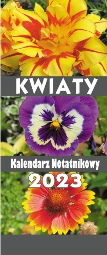 KALENDARZ NOTATNIKOWY BESKIDY 2023 KWIATY - 12627232254 - oficjalne archiwum Allegro