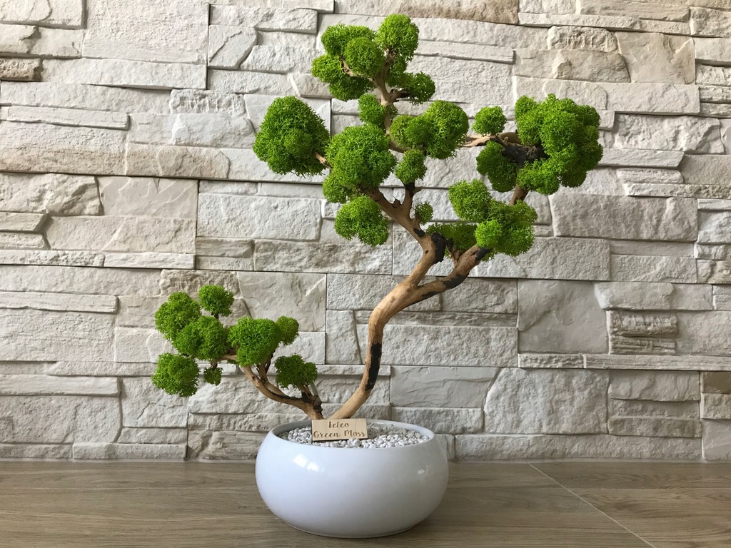mech chrobotek drzewko bonsai dekoracja prezent - 8554161918 ... mech chrobotek drzewko bonsai dekoracja prezent - 8554161918 ...
