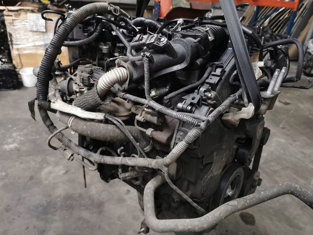 KOMPLETNY SILNIK FORD FOCUS MK3 1.6 TDCI T1DB - 13514619653 - oficjalne archiwum Allegro