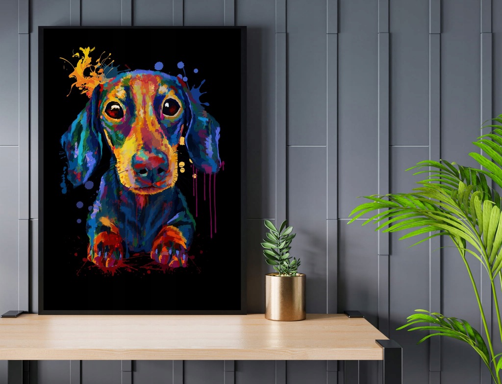 Plakat obraz Pies Jamnik A4 czarne tło prezent - 11587375154 ...