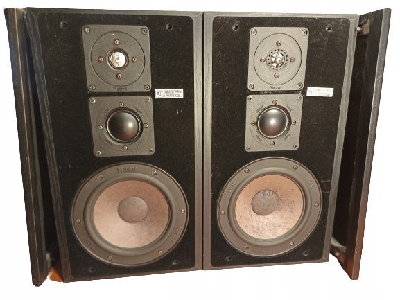 Kolumny głośnikowe ,,MAGNAT ALL-RIBBON 4,, - 12204139939 - oficjalne ...