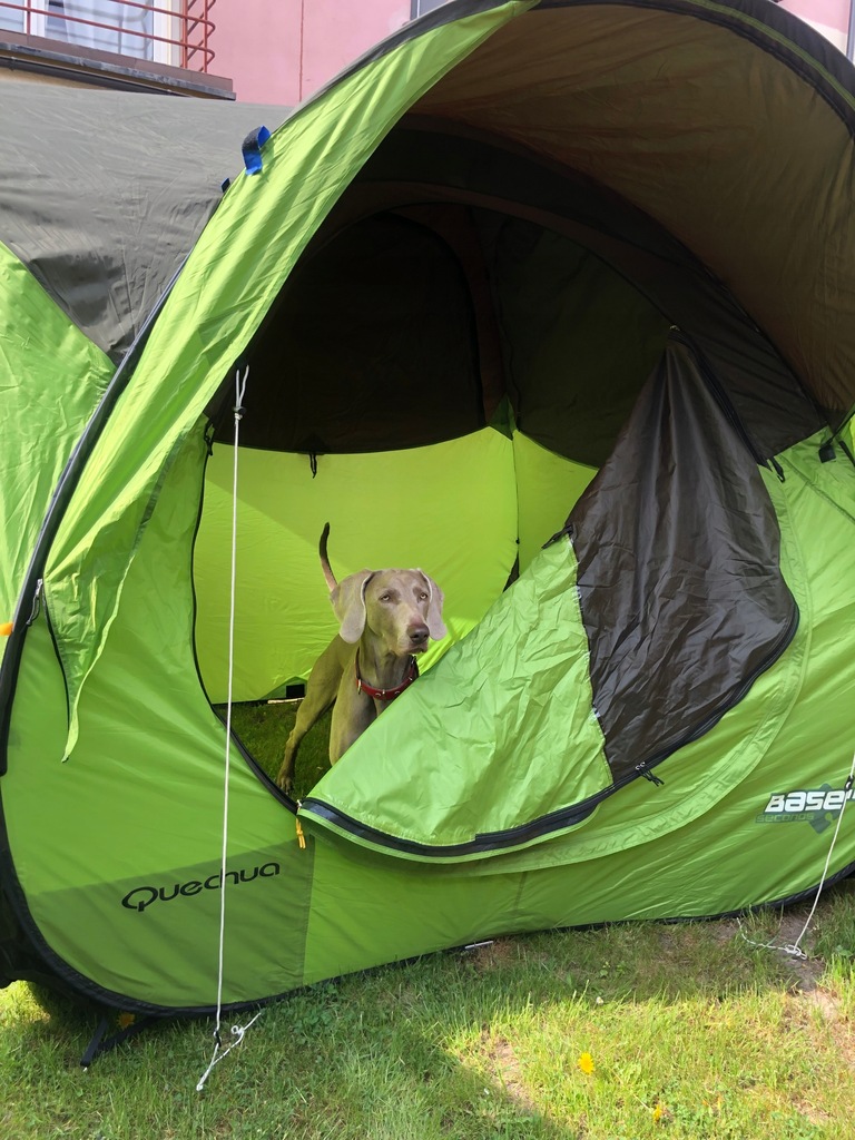 QUECHUA BASE SECONDS - ZIELONY- NAMIOT WYSTAWOWY - 8059673826 ...