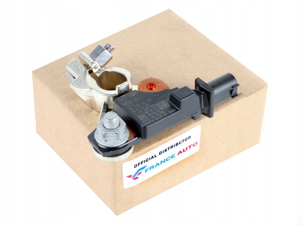 KLEMA MINUSOWA BEZPIECZNIK PEUGEOT 407 508 - 13390723936 - oficjalne ...