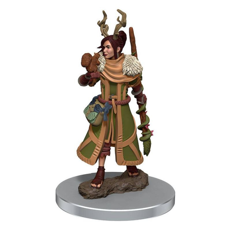 DnD Icons of Realms Premium Human Druid Female - 11592785466 ...