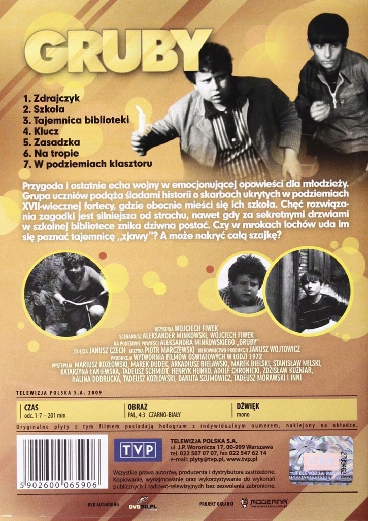 GRUBY SERIAL TVP - 2 DVD FOLIA - 12197353216 - oficjalne archiwum Allegro