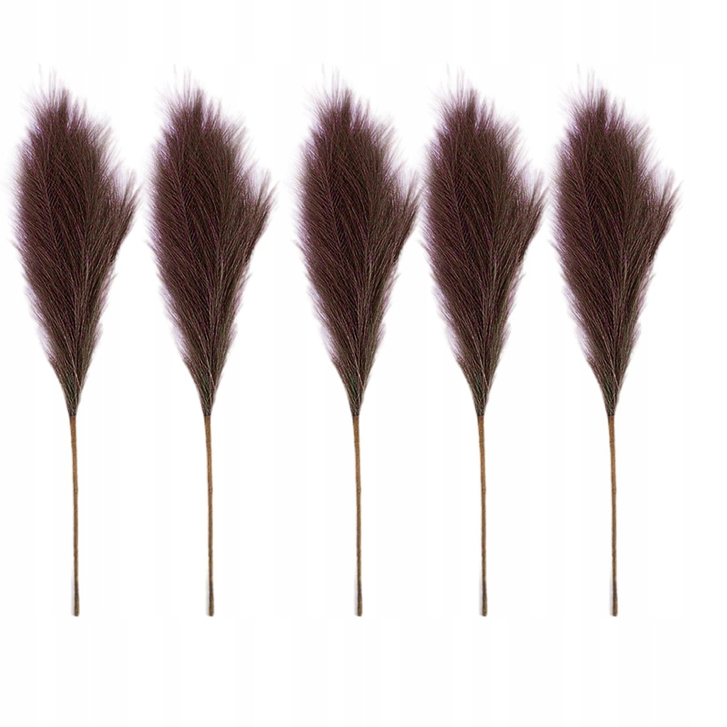 uczna trawa pampasowa Faux Bulrush Reed Grass na - 12333019469 ...