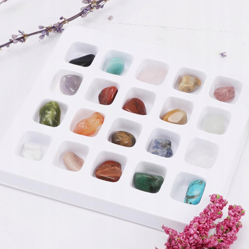 Rock & Mineral Collection Geology Science Kit Earth Science Toy Pack of ...