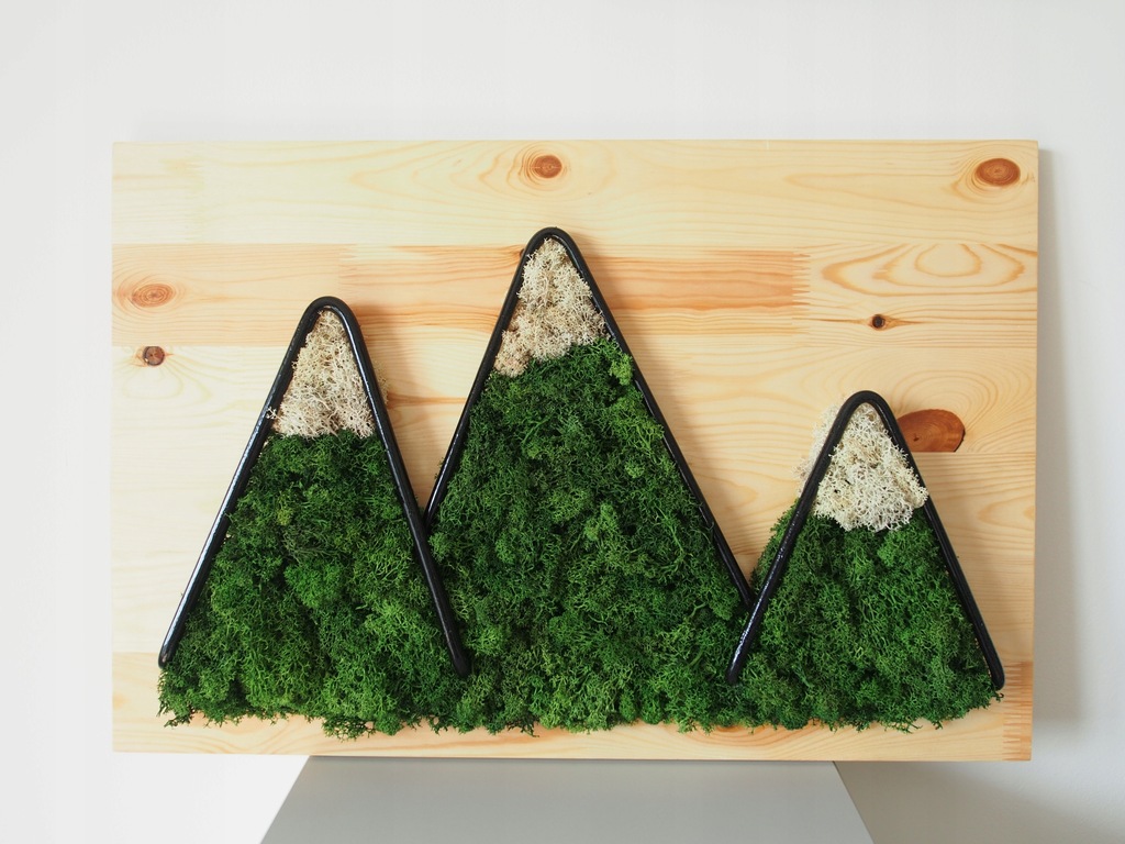 Mech CHROBOTEK, obraz z mchu, Góry na ścianę - 8129642119 - oficjalne ...