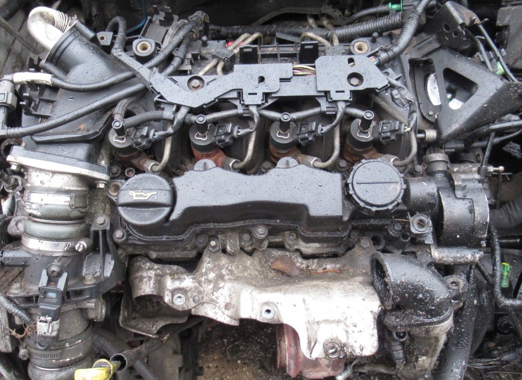 FORD FIESTA MK6 1.6TDCi SILNIK KOMPLETNY HHJF - 13014614444 - oficjalne archiwum Allegro