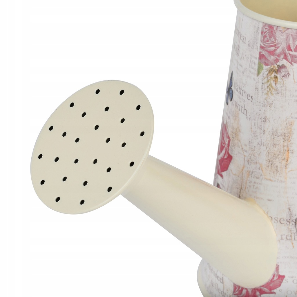 Купить Декоративная металлическая лейка для домашнего сада.: отзывы ...