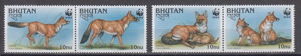 Bhutan ** - fauna (cyjon rudy) - 12848486719 - oficjalne archiwum Allegro