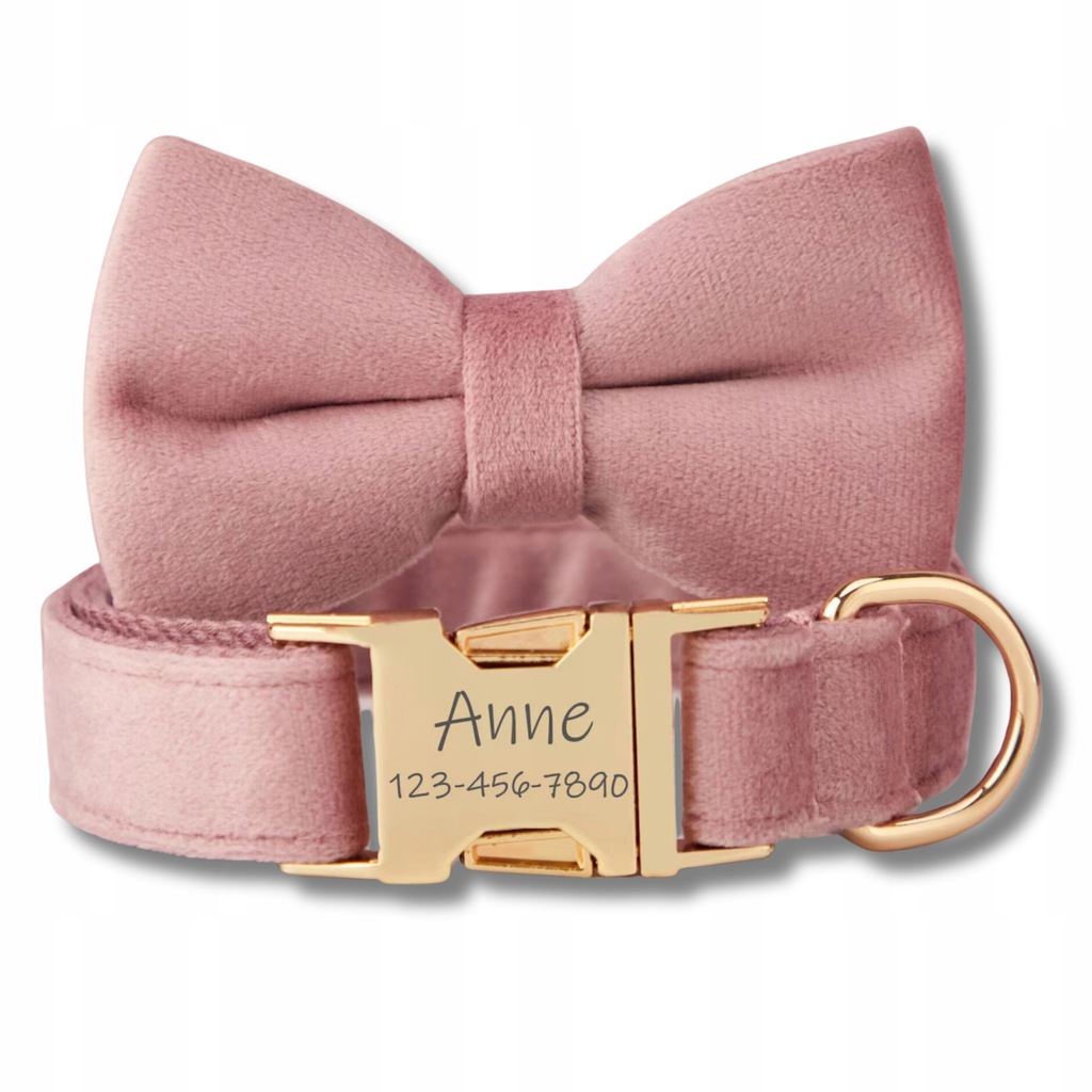 Smycz i Obroża z Kokarda Dla Malego Psa z Imieniem S | Welurowa Dusty ...