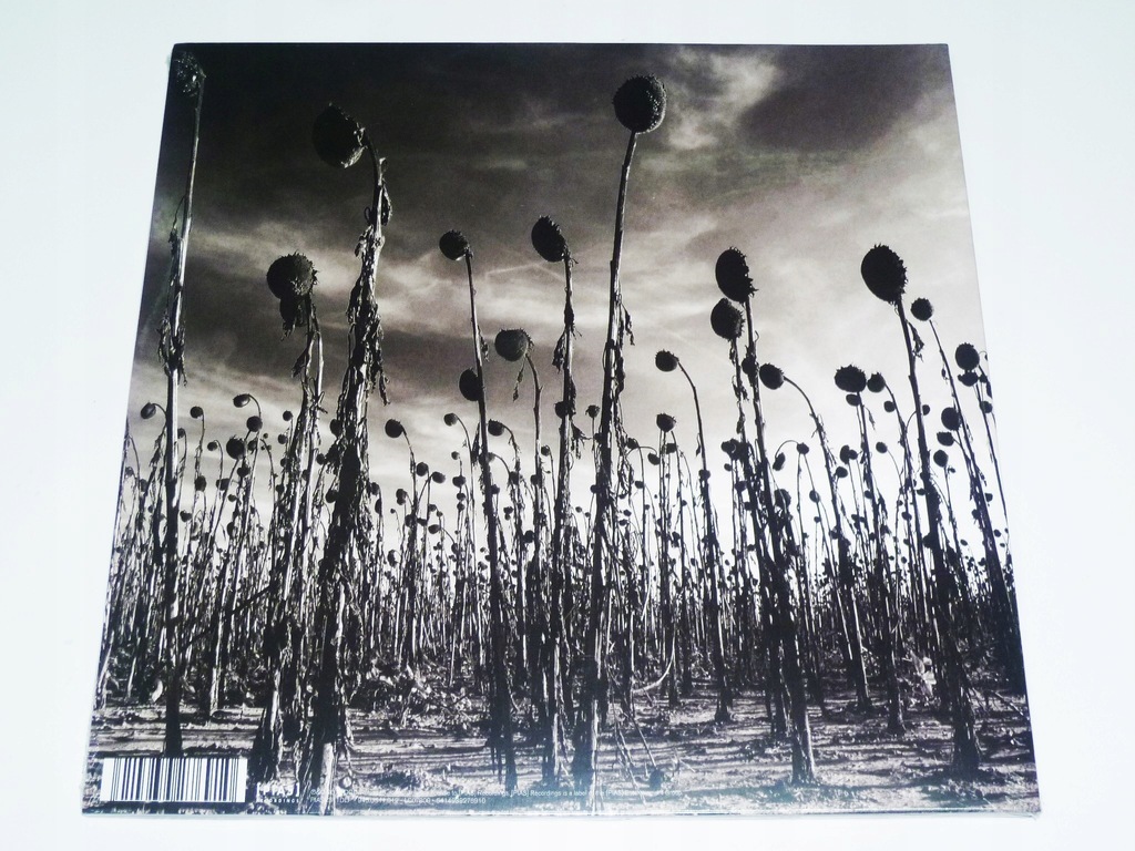 Купить Dead Can Dance Anastasis 2LP винил: отзывы, фото и характеристики на Aredi.ru (13125075641)