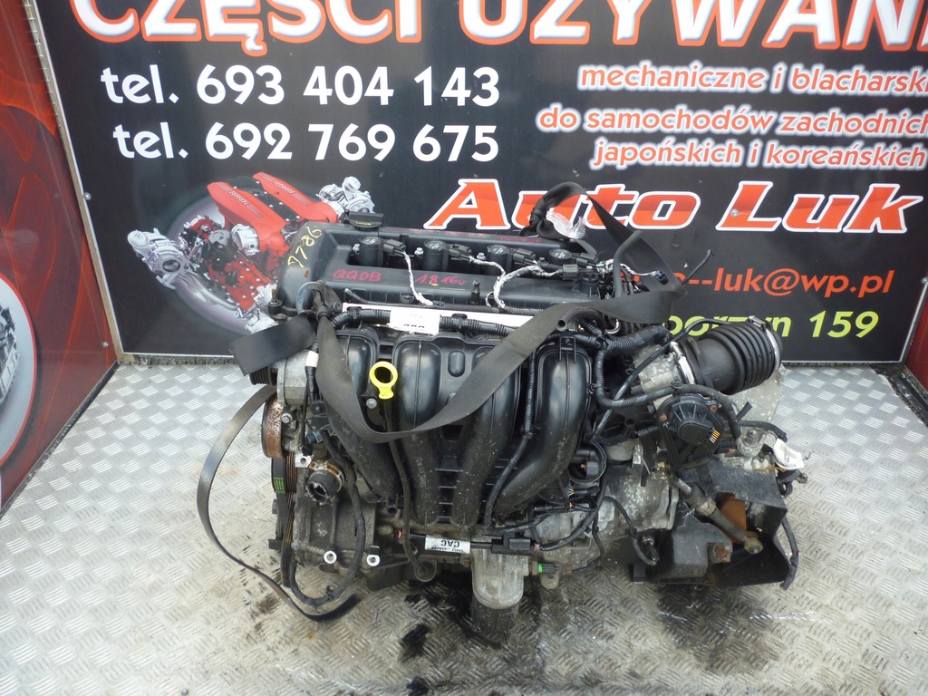 SILNIK FORD C-MAX FOCUS 1.8 16V QQDB 165 TYS - 12348702226 - oficjalne archiwum Allegro