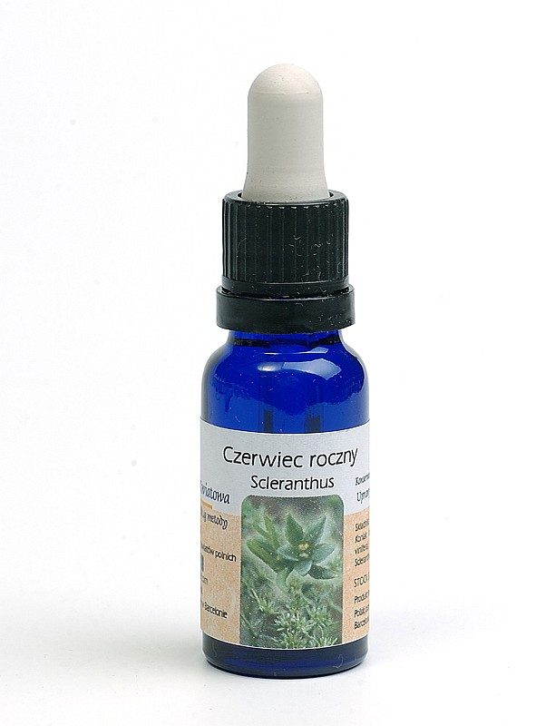 CZERWIEC ROCZNY -UŁATWIA KONCENTRACJĘ I NASTRÓJ - 13379073626 ...