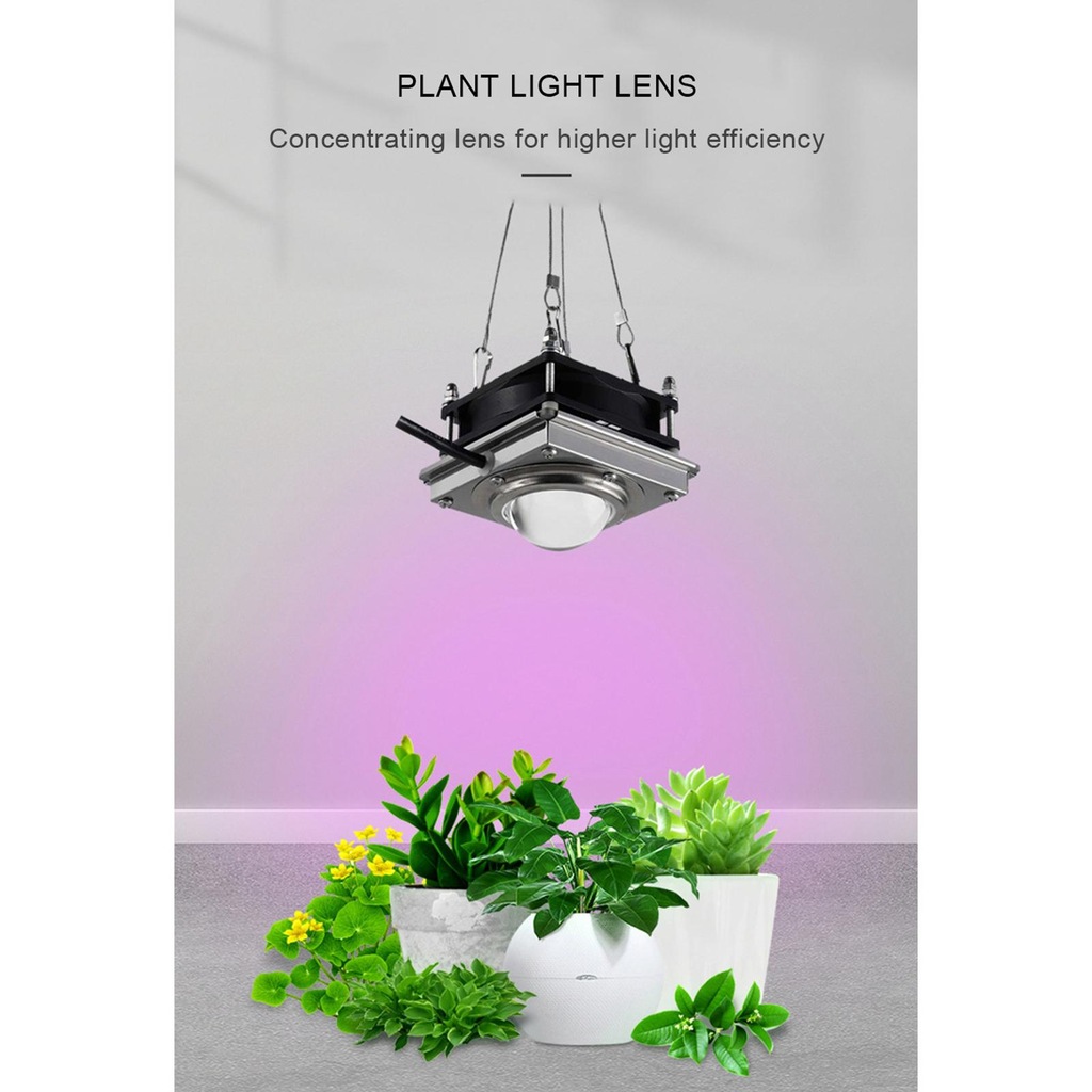 Growing Lamps LED Grow Light Plant Lighting for - 13532095455 ...