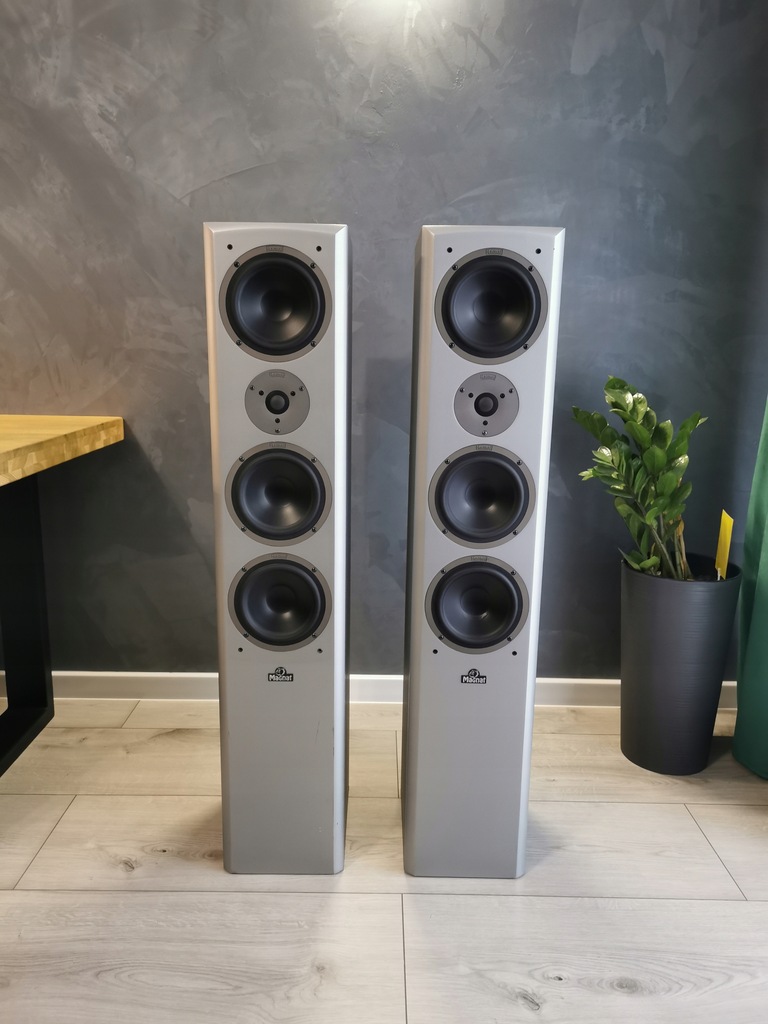 Kolumny Magnat Vector 77 Silver Millenium Edition - 13540273051 ...