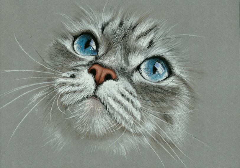 KOT kotek koty kotki Rysunek obraz na prezent - A4 - 14039257451 ...