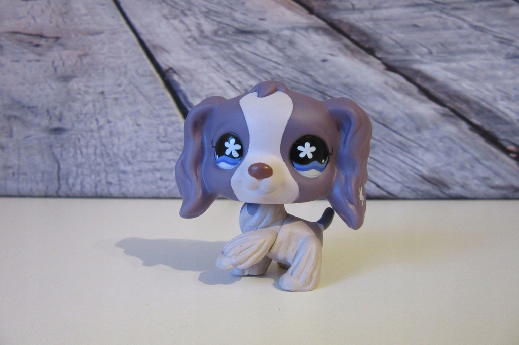 Figurka Spaniel Dog LPS Littlest Pet Shop - 8119257066 - oficjalne ...