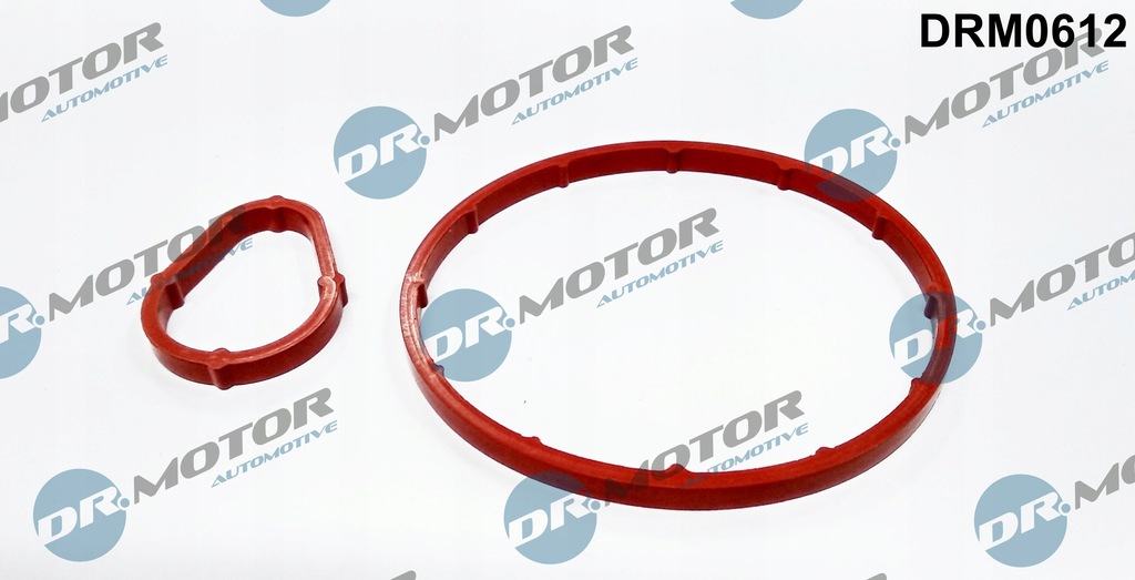 ZESTAW USZCZELEK VACUM POMPY PSA, FORD 98- - 11938296874 - oficjalne ...