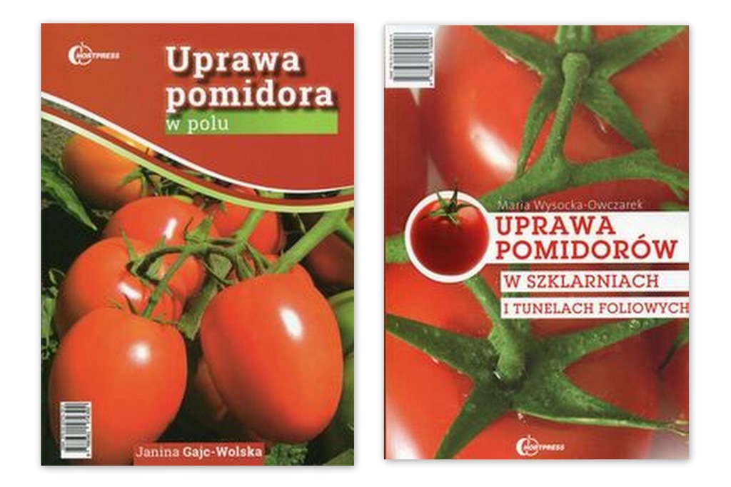 UPRAWA POMIDORA w polu + w szklarniach i tunelach - 7890329284 - oficjalne archiwum Allegro